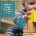Babywise Eat Play Sleep Schedule: Pros and Cons