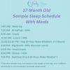 17 Month Old Sleep Schedule: Sleep Through the Night and Naps